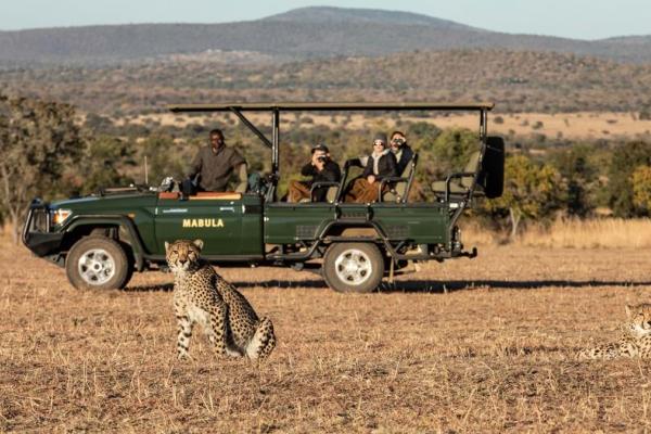 South Africa: Highly Rated & Family Friendly Safari Holiday